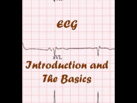 ECG : Introduction and the Basics. - YouTube