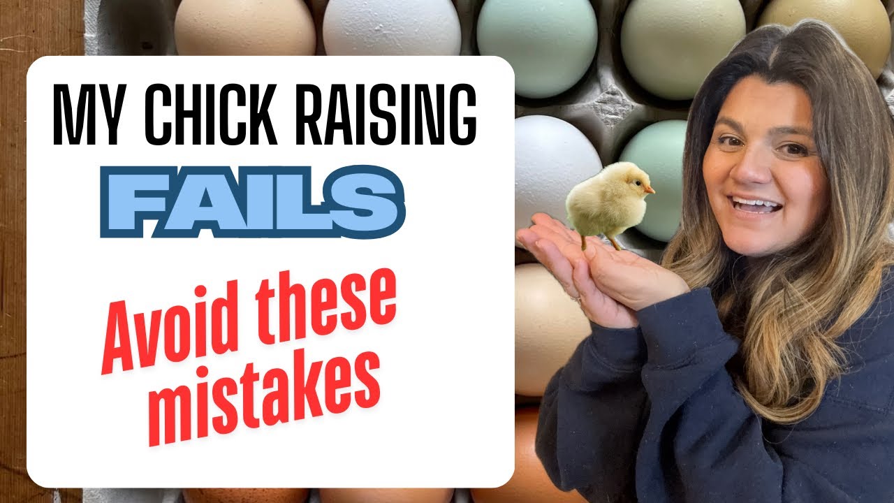 My Chick Raising Fails| What I did wrong and How to Fit It - YouTube