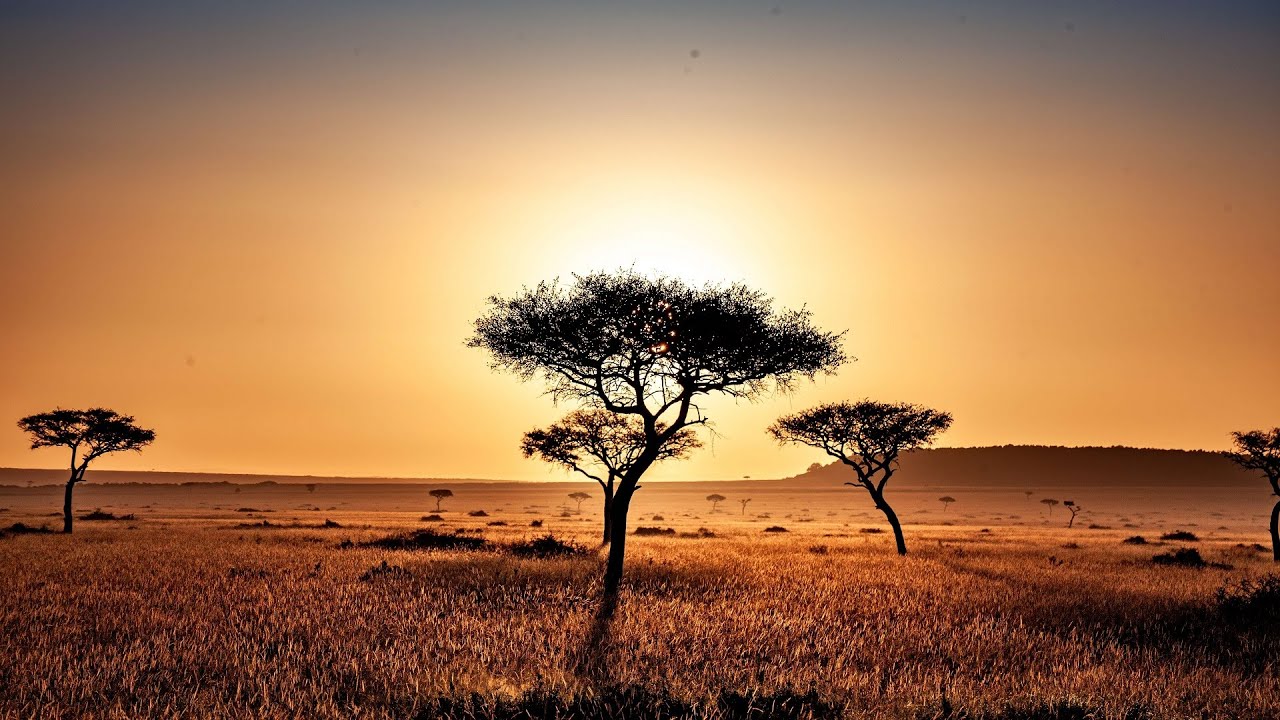 The African savanna. Африканская саванна. - YouTube