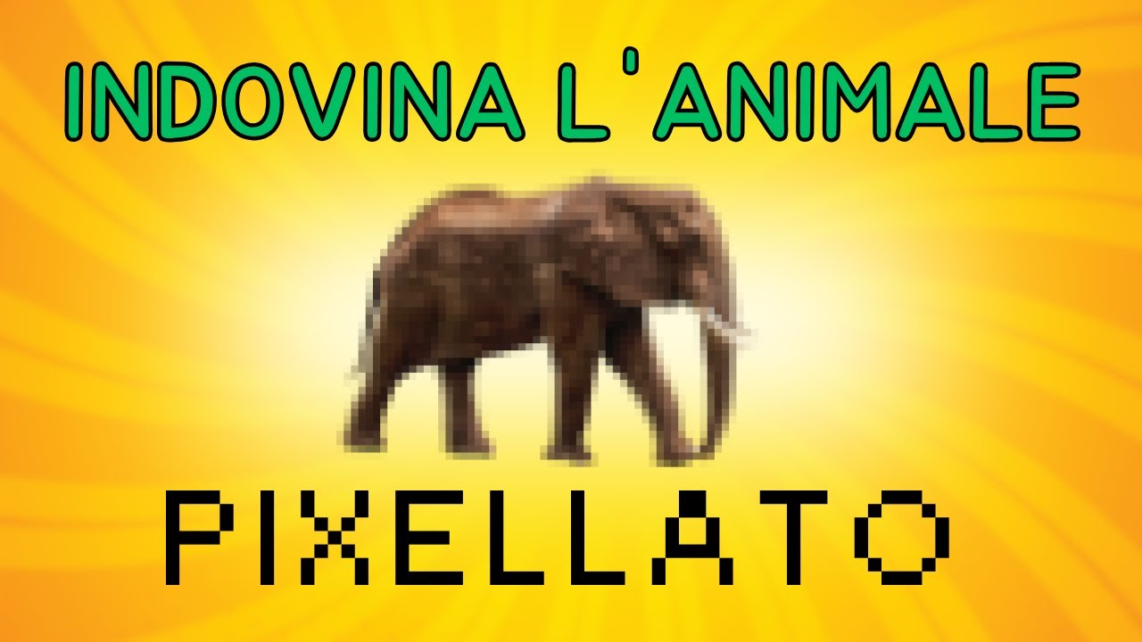 🐘 Indovina l'Animale Selvatico dall'immagine Pixellata 🦔 - YouTube