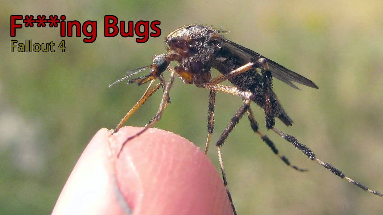 I HATE BUGS!!!! - YouTube