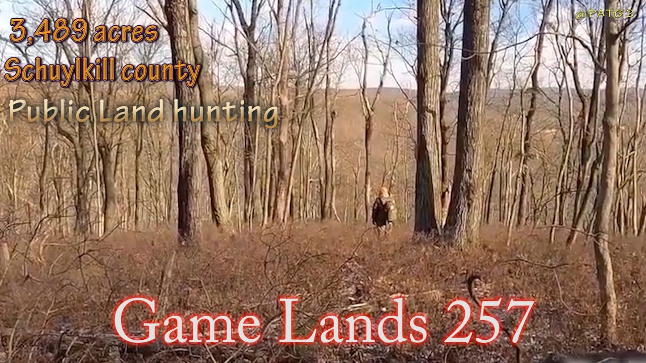 PA State Game lands 257, Hunting the Wildcat part 3 - YouTube