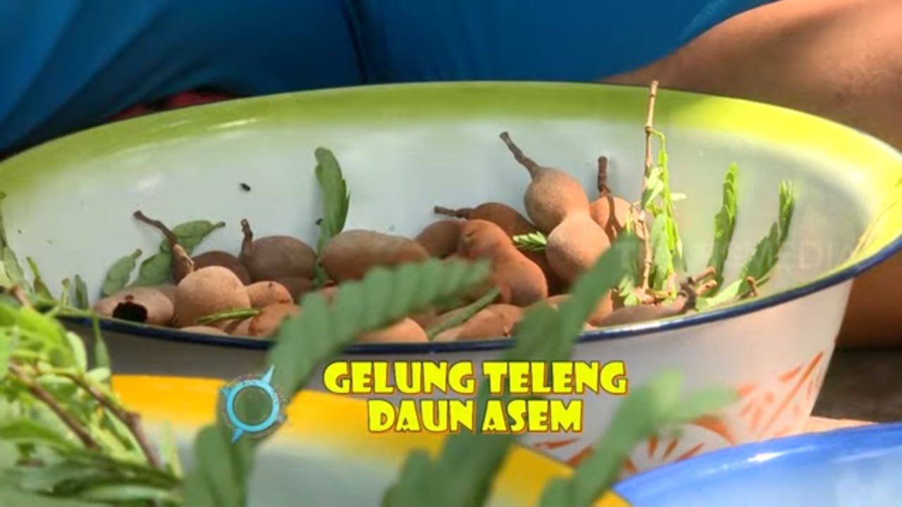 GELUNG TELENG DAUN ASEM | JEJAK SI GUNDUL (01/09/22) - YouTube