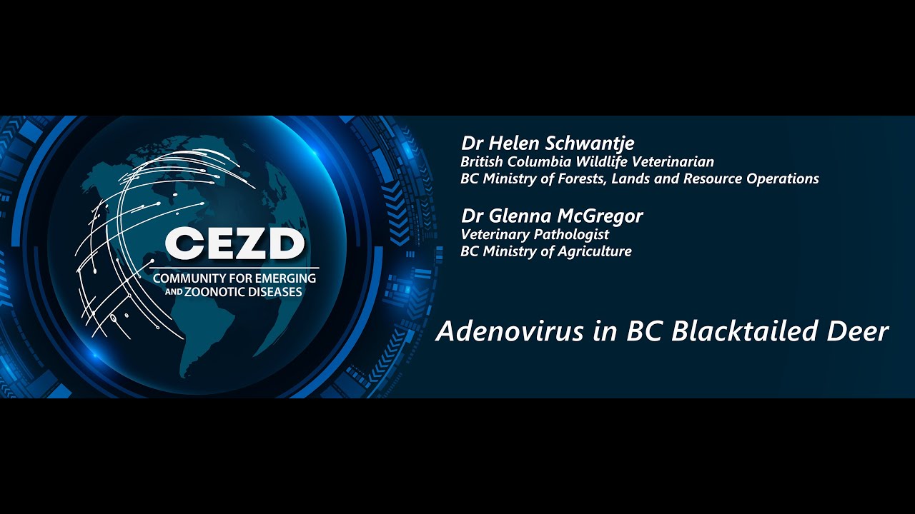 Adenovirus in North American Cervids Part 1 - YouTube