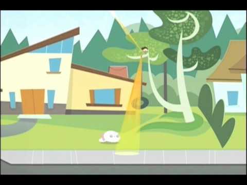Kid Vs Kat Short - Laser Guided Furball