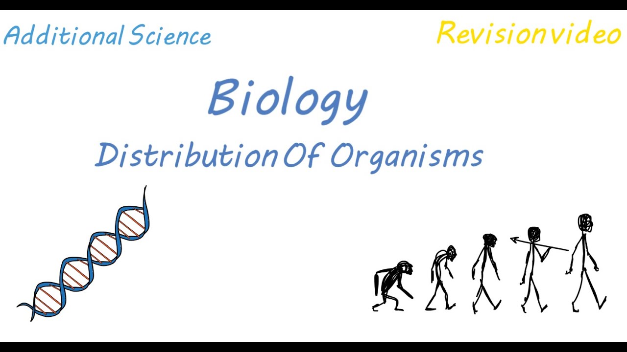 B2: Distribution Of Organisms (Revision) - YouTube