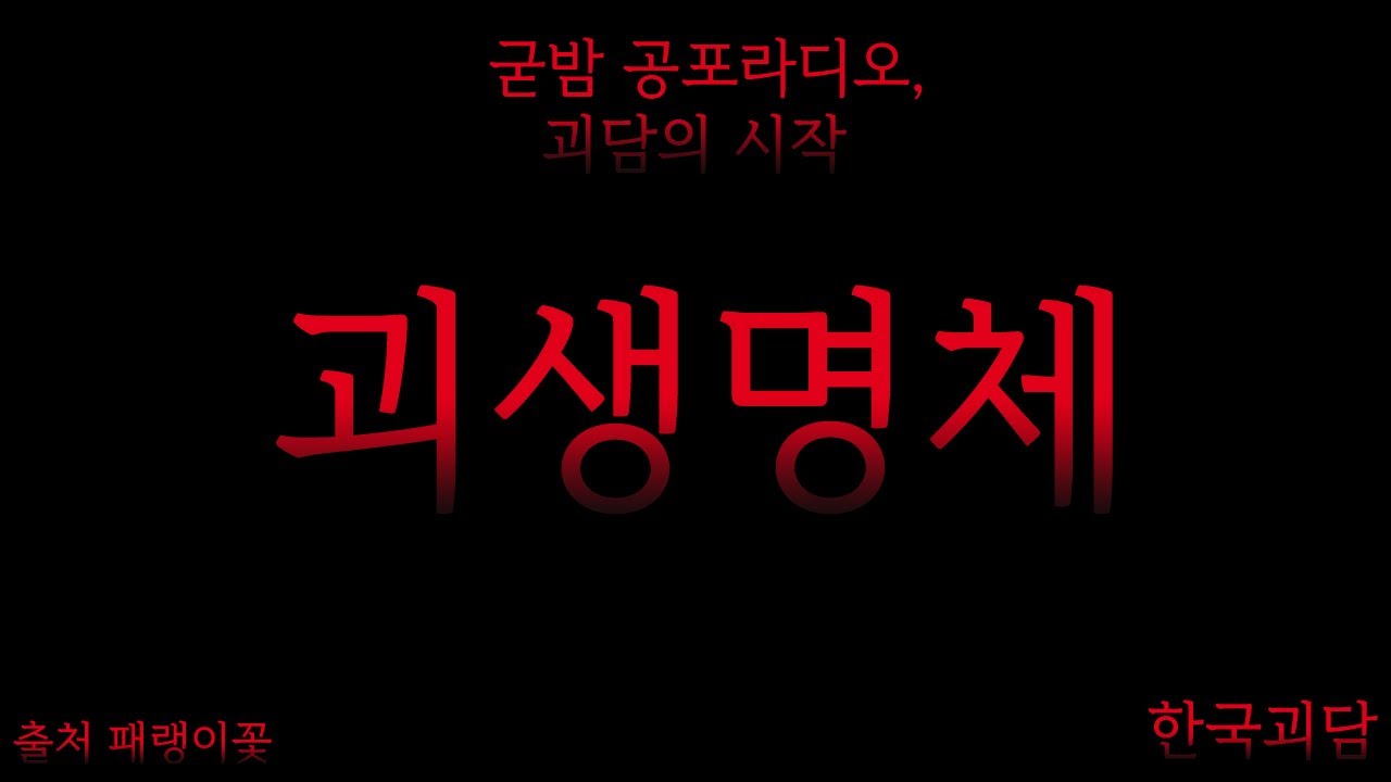 괴생명체 무서운이야기 괴담라디오 장편시리즈 실화괴담 한국괴담 2ch괴담 5ch 레딧괴담 한국실화괴담 일본괴담