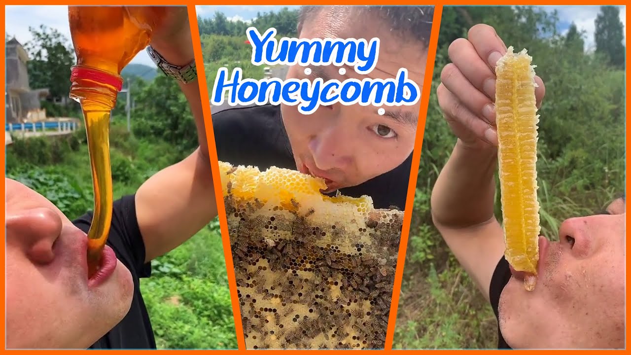ABS Honey BEE | Best HoneyComb Eating ASMR | Eating Videos🎖️5 - YouTube
