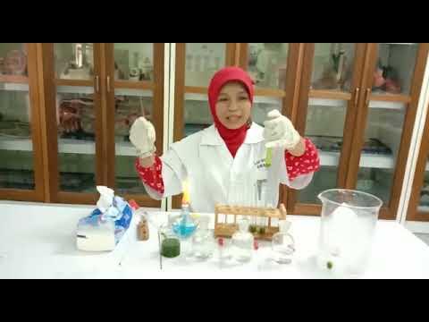 Uji Enzim Katalase Pada Ekstrak Daun Pepaya oleh Desi Arisandi M.Pd - YouTube
