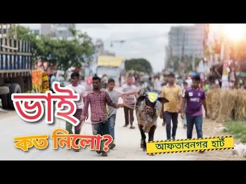 Bhai Koto Nilo? Aftabnogor Gorur Haat 2023 | Eid Ul Azha 2023 | Haat ...