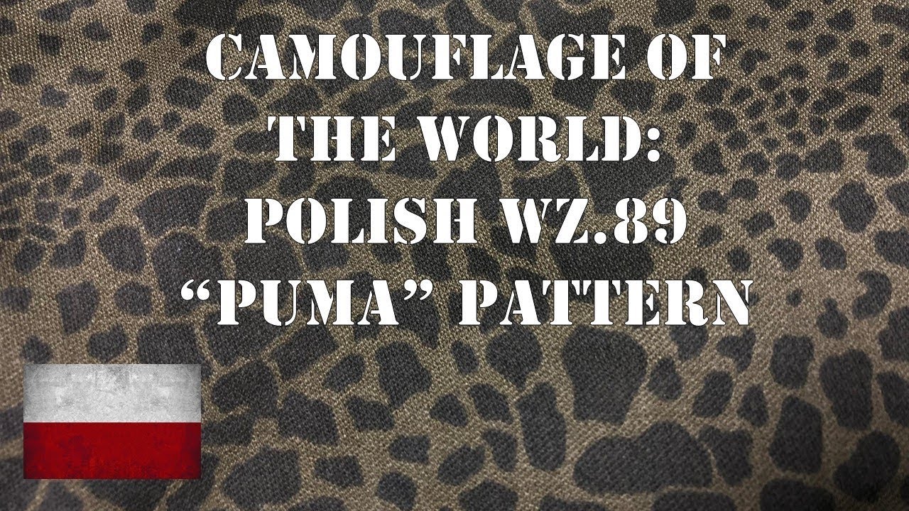 Camouflage of the World: Polish Wz.89 "Puma" Camouflage. - YouTube