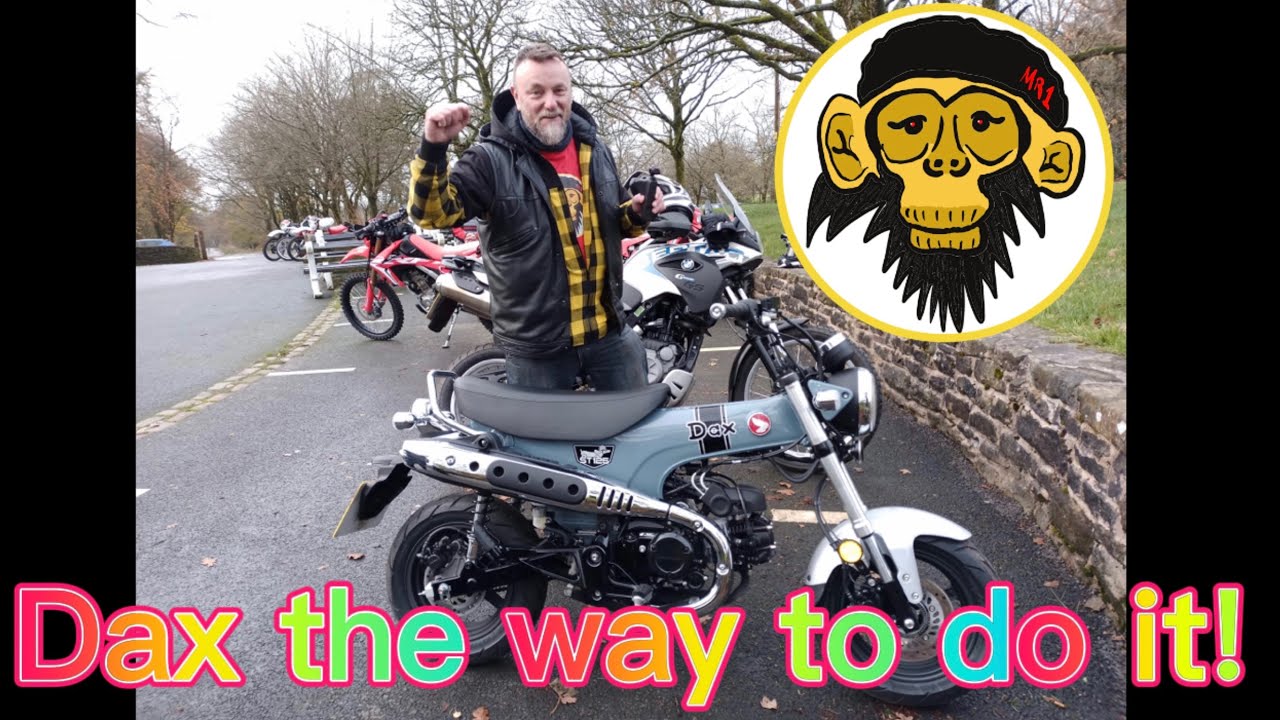 New Honda Dax - The First Dax seen in the Wild? Dax the way to do it ...