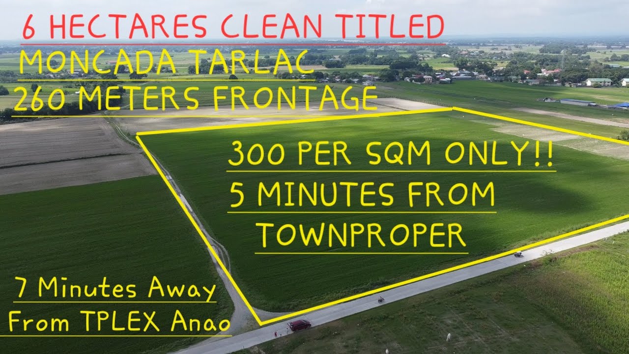 #vlog #564 RESIDENTIAL FARMLOT 260 METERS FRONTAGE! 6 HECTARES! 7-8 ...