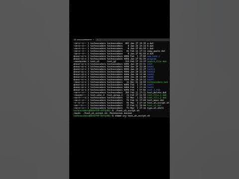 Unix Basics | Shell - set execute permissions | shell scripting #unix #unixtutorial #unixbasics ...