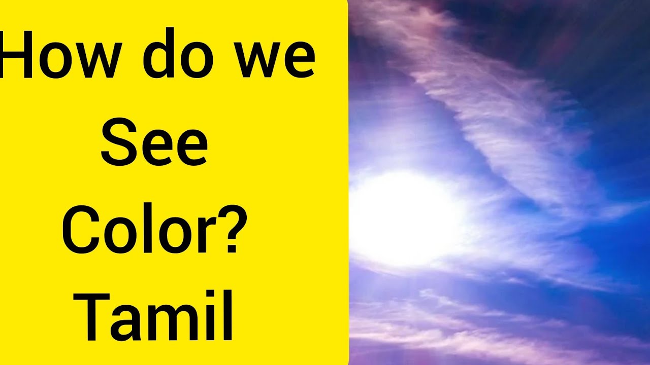 how do we see color Tamil - YouTube