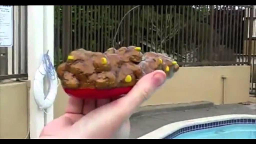 The RC Poop - YouTube