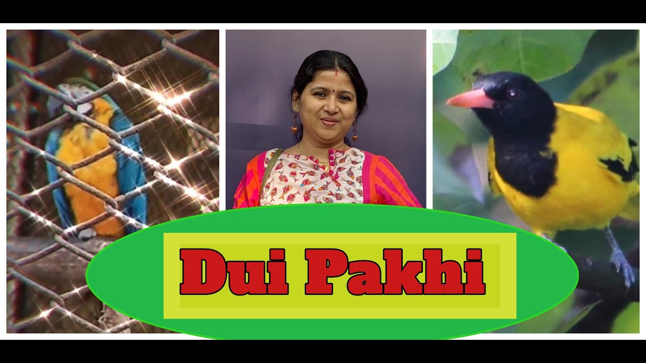 দুই পাখি, Dui Pakhi Recitation, Rabindranath Tagore, Bengali Poem ...