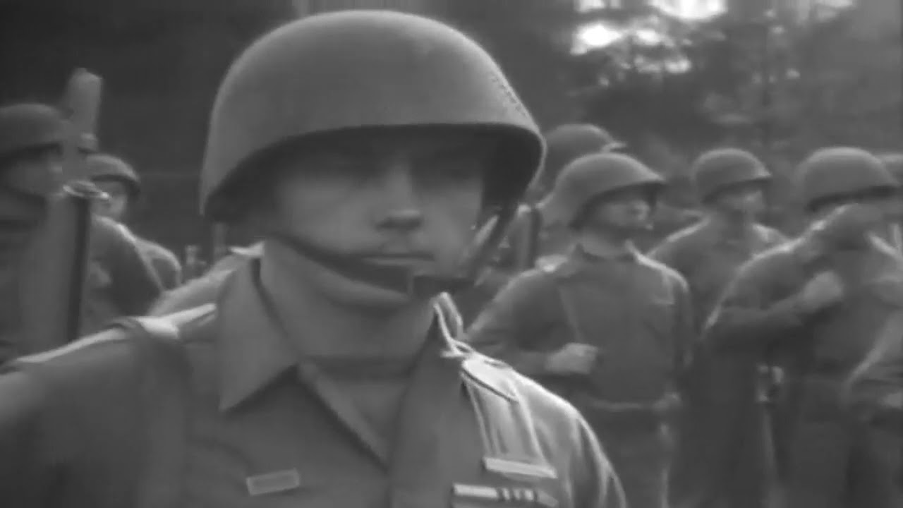 115TH INFANTRY REGIMENT - 29TH DIVISON - PRESIDENTIAL CITATION ...