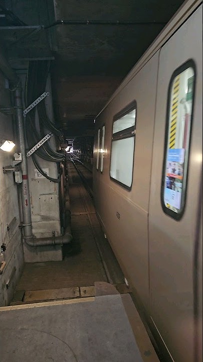 [Train]Tseung Kwan O Line Urban Lines Rotem EMU Departed LOHAS Park Station {4K60fps} - YouTube