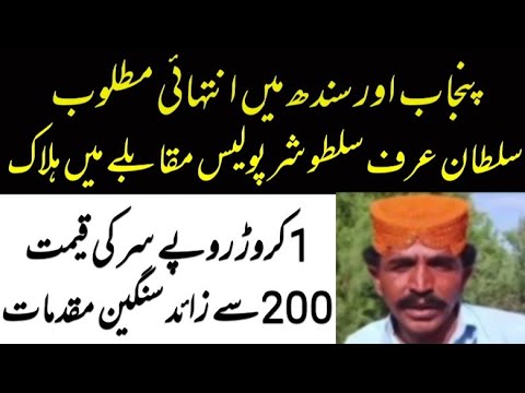 Criminal Most Wanted Punjab & Sindh Sultan Aka Saltu Shar Killed In ...