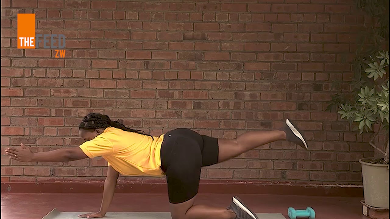 At Home Exercises for Pregnant Women With Pineapple. | The FeedZW - YouTube
