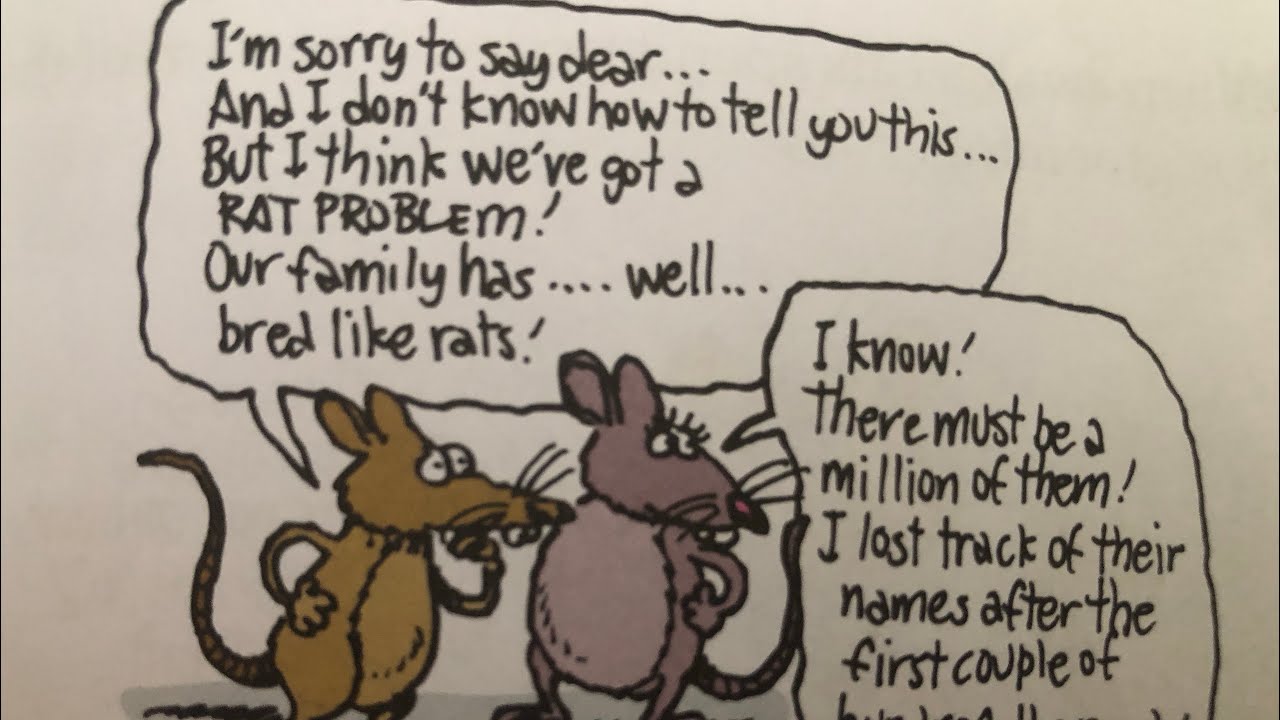 Rap Rat (my take) - YouTube