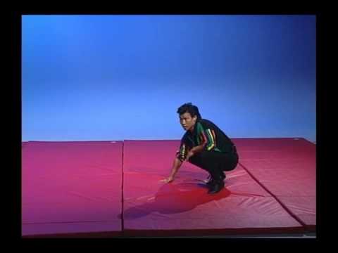 Stuart Quan Acrobatic Fighting Techniques - YouTube