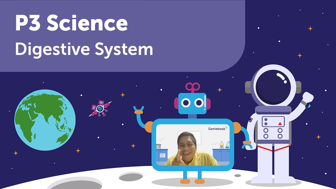 Digestive System | Science | Primary 3 | Geniebook - YouTube