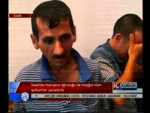 Mal qara oğruluğu ilə məşğul olanlar yaxalanıb