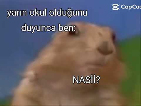 YARIN OKUL VAR🫡