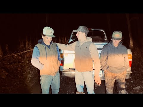 Coon on a limb! (Mountain Cur Tree) - YouTube