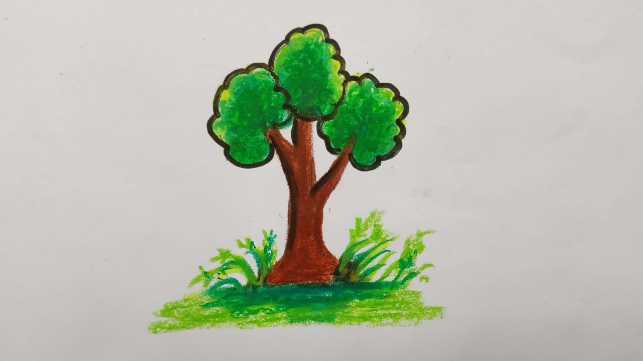 Tree drawing & colouring / How to draw tree step by step - YouTube