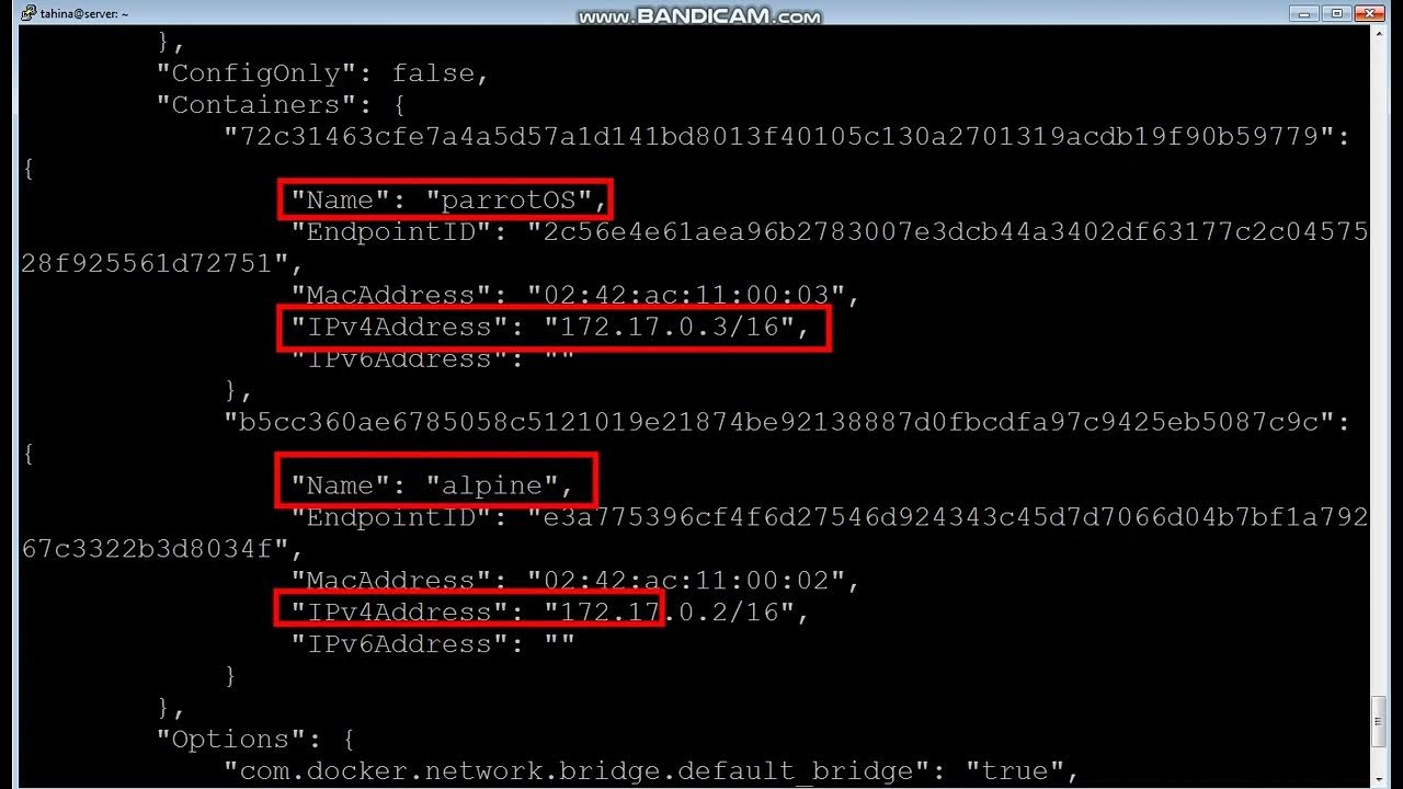 Pulling Parrot OS in docker using Debian 12 - YouTube