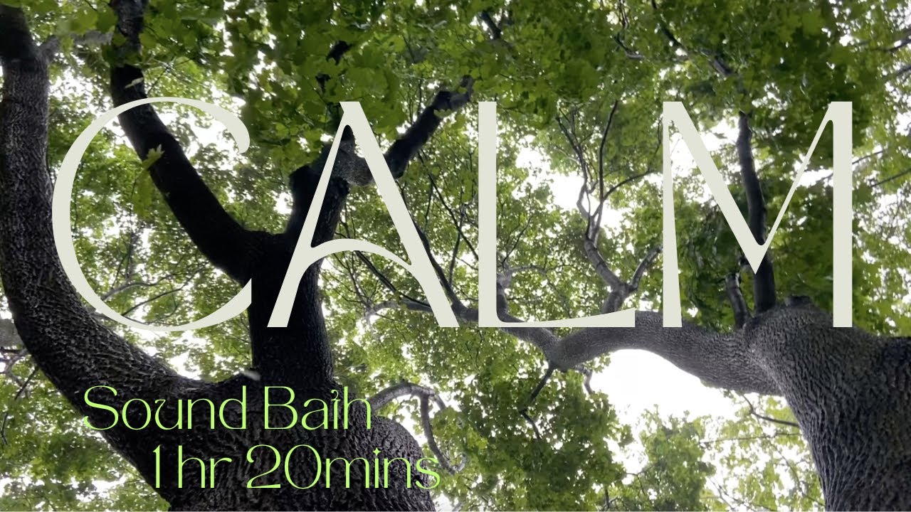 SOUND BATH | RAINING ENCHANTED FOREST | 1 hour 20 mins | Relax and ...