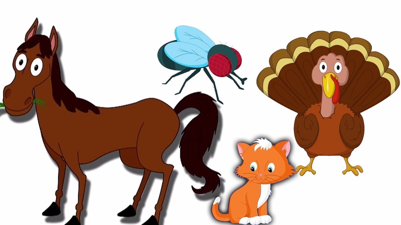 animali suono canzone rime per capretti Nursery Rhyme Kids Poem Learn ...