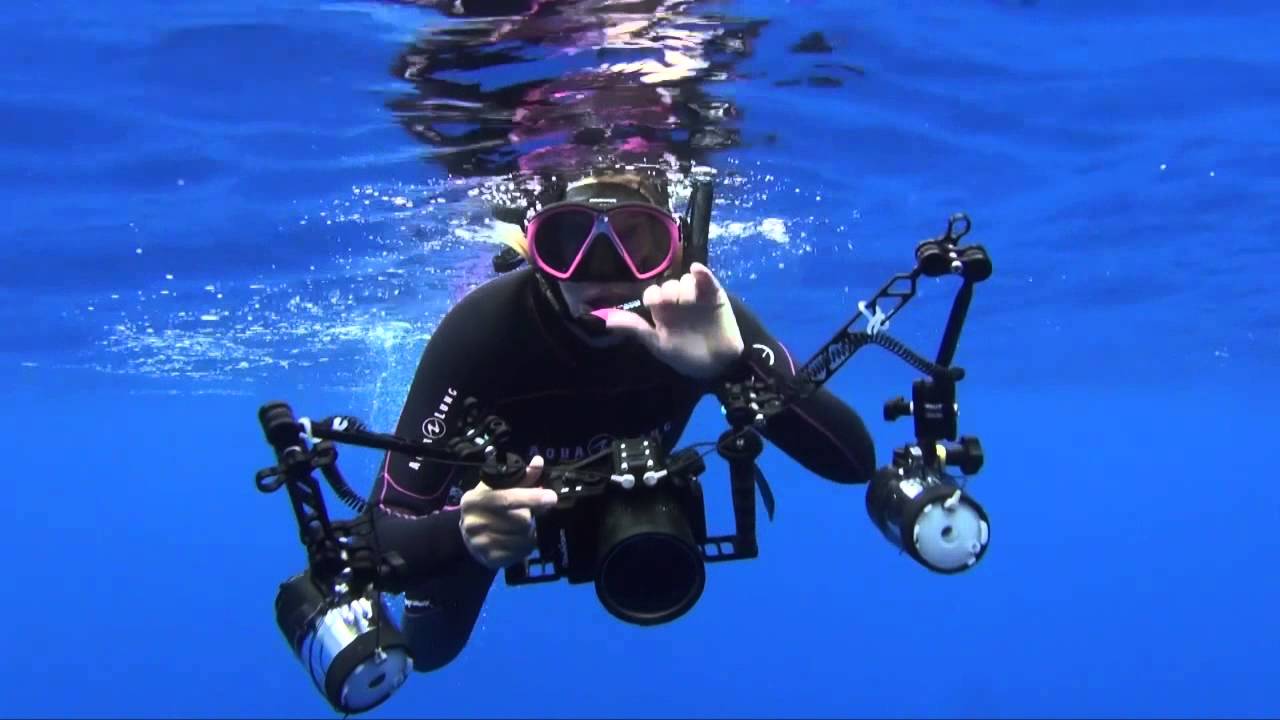 Ocean Ramsey Freediving with Sharks - YouTube