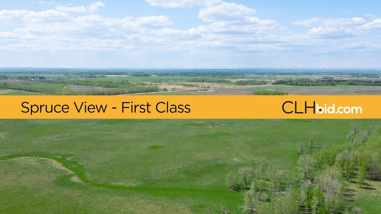 CLHbid.com - Spruce View - First Class - YouTube