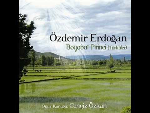 Özdemir Erdogan - Boyabat Pirinci (2009)
