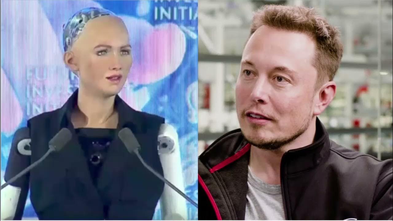 Elon Musks Robot Wife Aiwhat Is Robot Wifeopenairisks And Benefits Of Having A Robot
