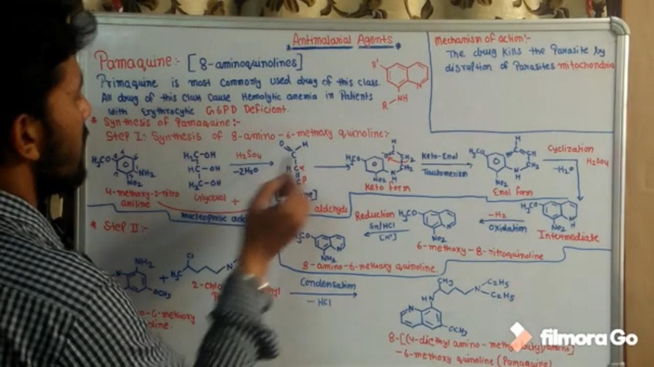 ANTI-MALARIAL AGENTS(PART-2) :Synthesis of PAMAQUINE : MEDICINAL ...