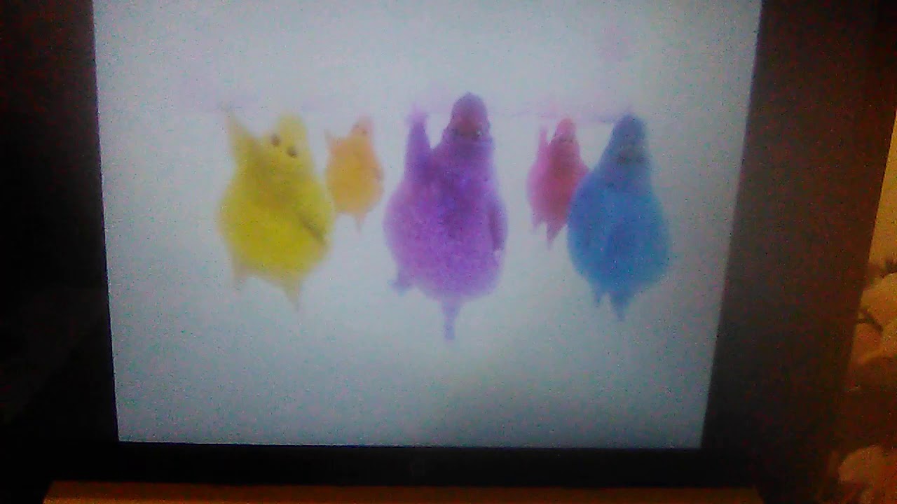 Boohbah: Falling Oranges Warm-Up Dance - YouTube