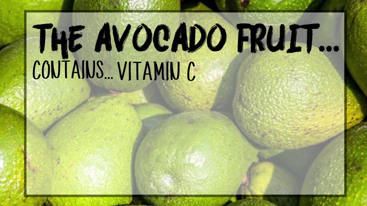 Miguelitos Avocado Locco in Philippines | Creamiest Ice Cream - YouTube