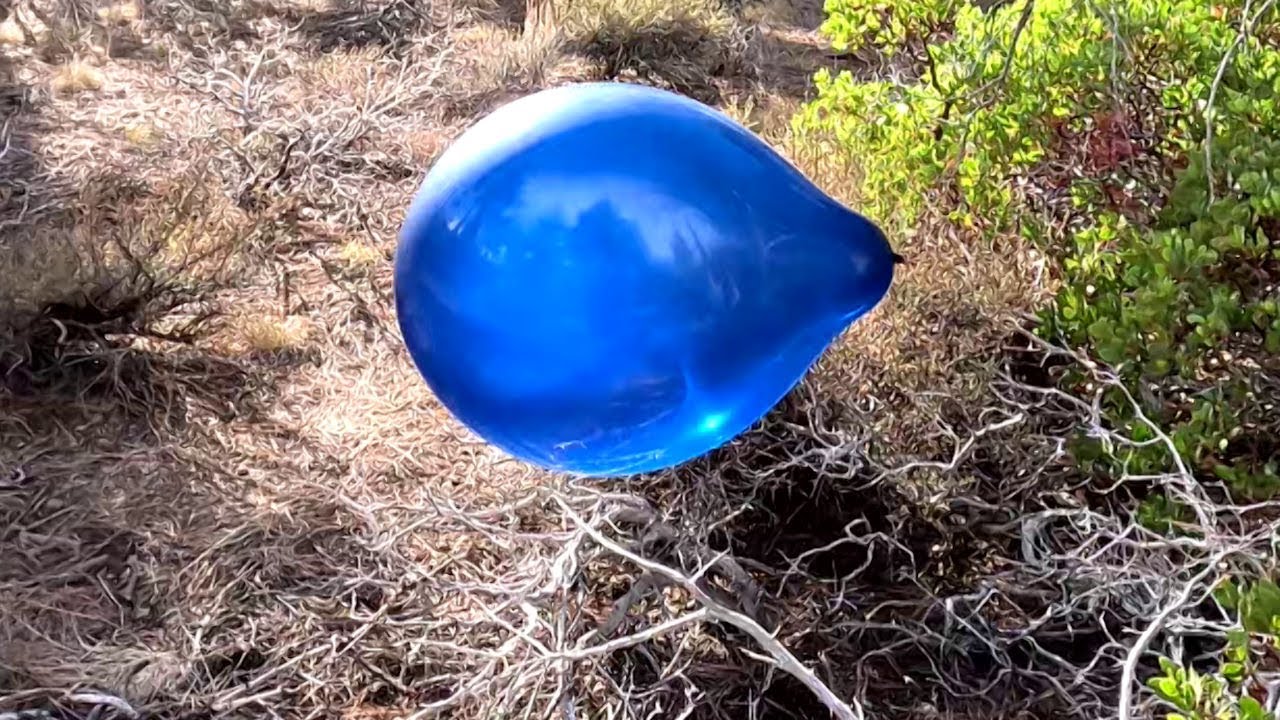 11 Navy Blue Balloons Flying, Floating and Popping on a Windy Day, 4K ...