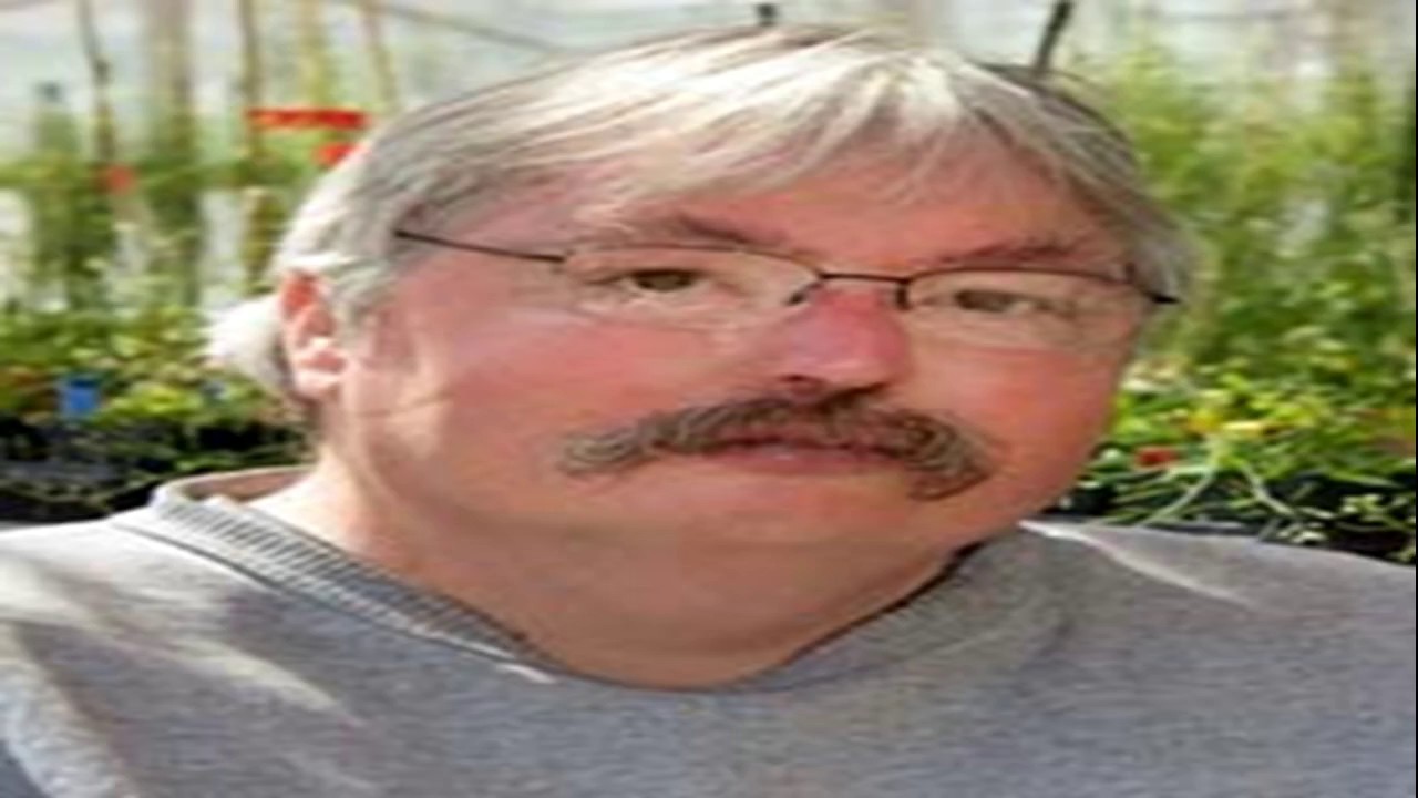 Numa Numa Original Music Video (Dragostea din tei) - YouTube