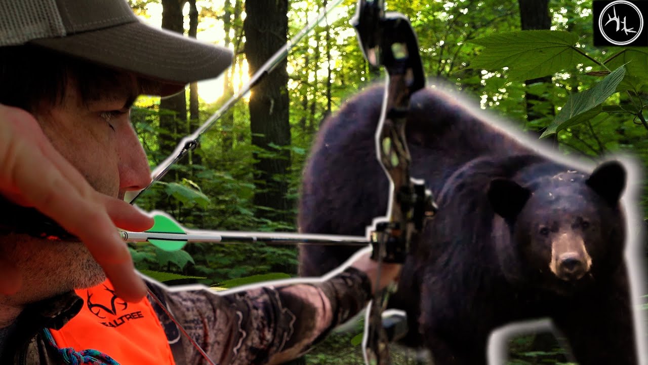 BEAR EATS BEAVER! - YouTube