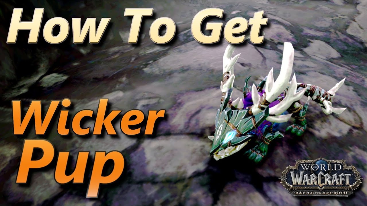 How To Get The Wicker Pup Battle Pet WoW BFA - YouTube