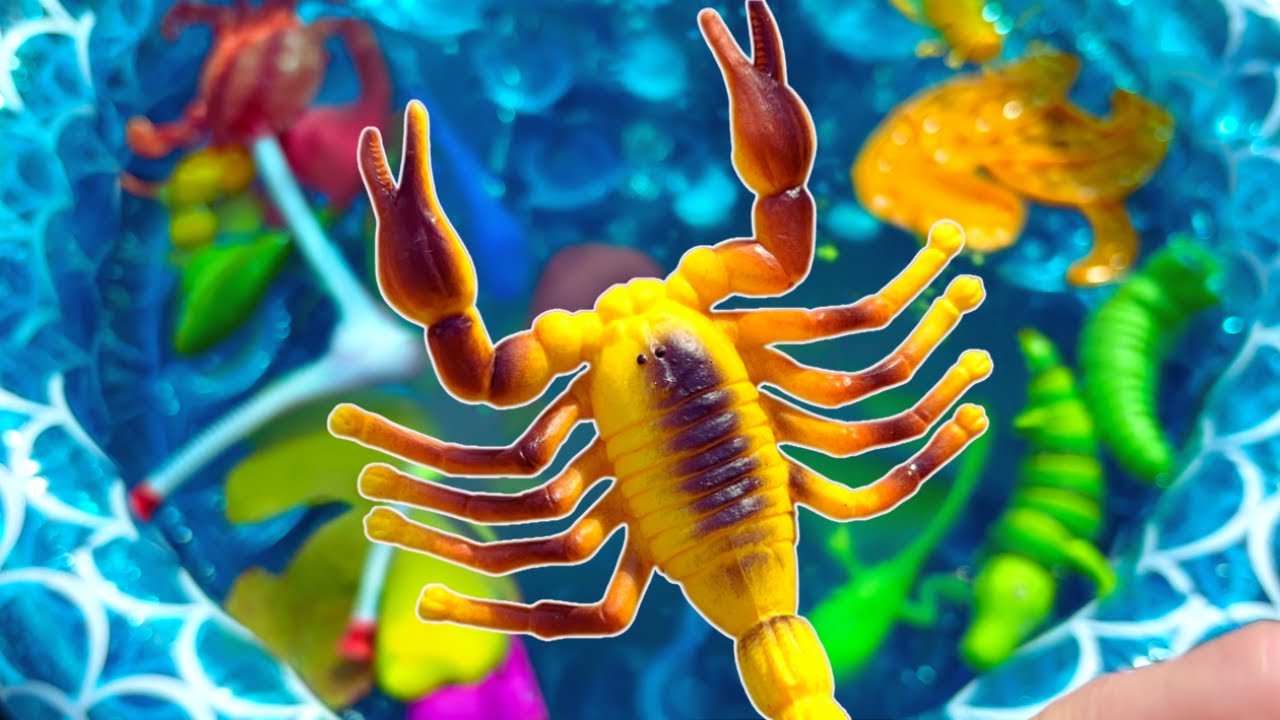 Learn Animal Names and Colors with Animals Toys for Kids! - YouTube