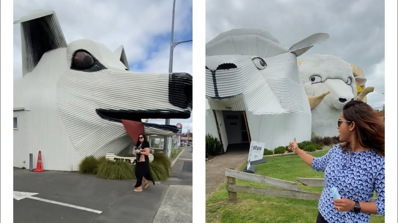 Corrugated Capital of New Zealand -TIRAU |Travel Vlog | Places to Visit ...