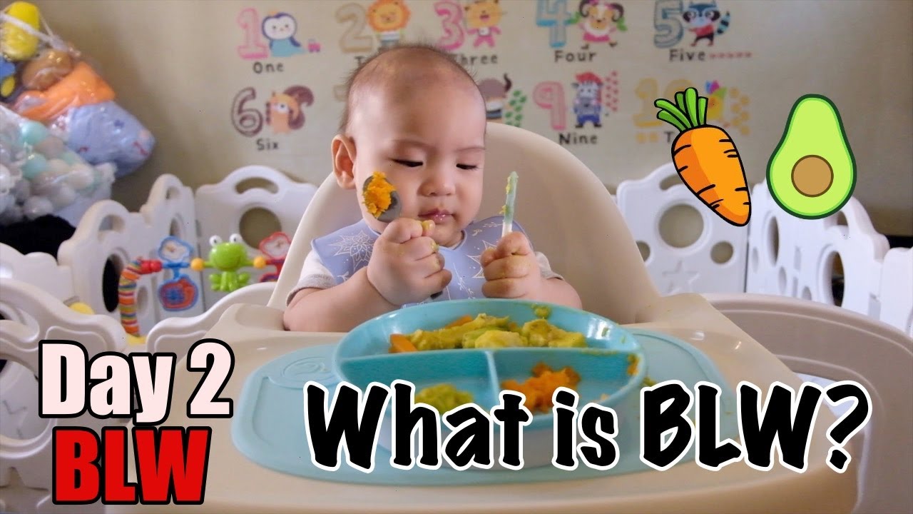 BLW Day 2 - What is BLW? - YouTube