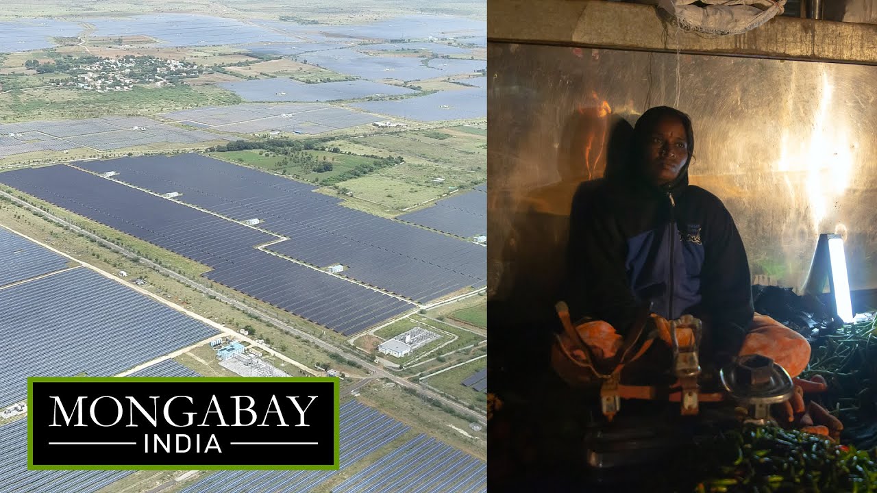 The irony of living next to one of India’s largest solar parks: Power ...